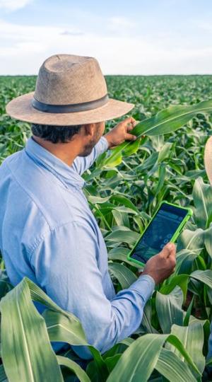 Potato Scouting with Cropwise Protector | Cropwise US
